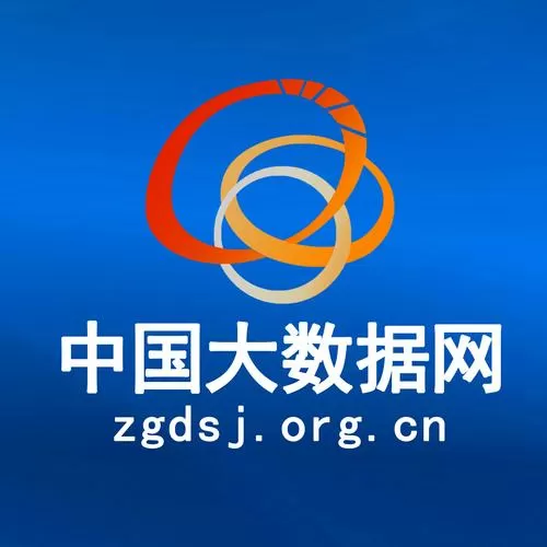 中国数据图标