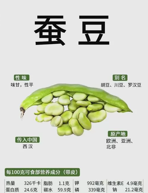 蚕豆的功效与作用禁忌图标