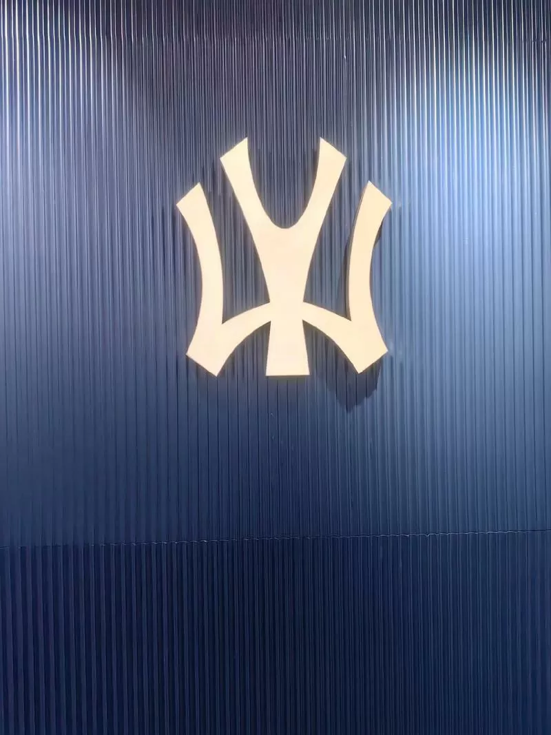 wy版和人教版有什么区别图标