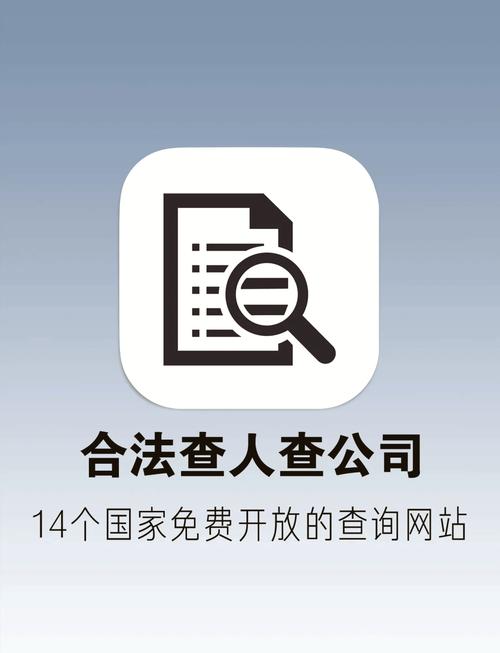 网上查个人案底图标