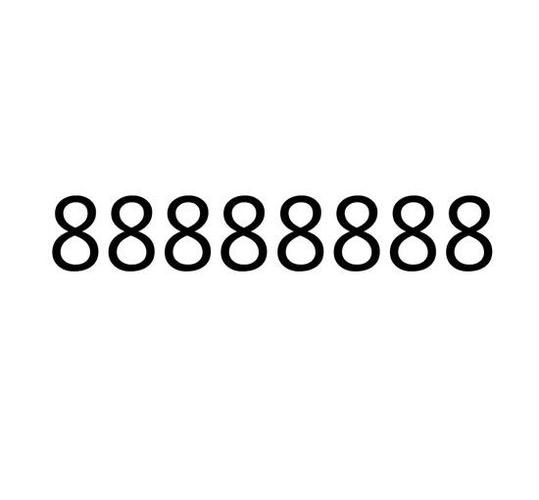 8888打一成语图标