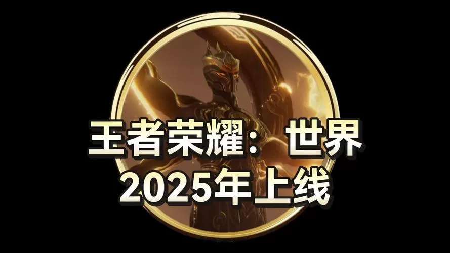 2025王者荣耀多大内存截图