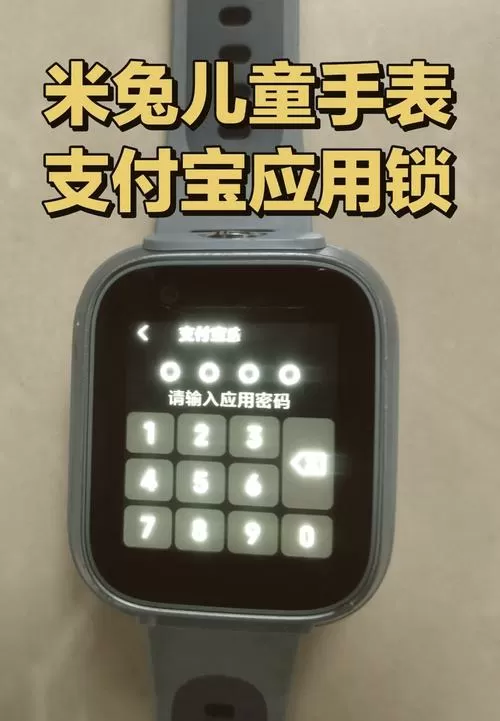 米兔支付宝已锁定请在APP中解锁截图