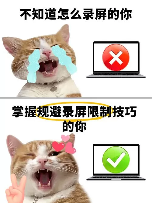 视频软件不允许录屏图标