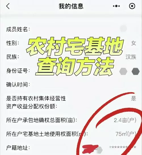 宅基地登记信息查询截图