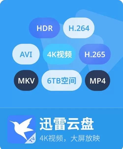 手机迅雷下载的电影怎么传到u盘图标
