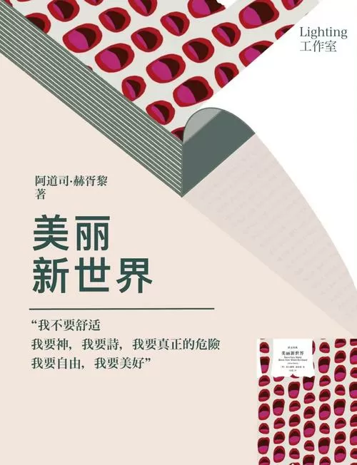 美丽新世界 电影 1999图标