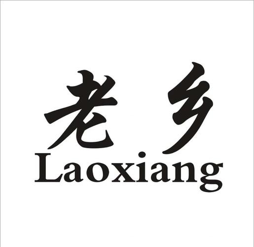 赞美老乡的词语