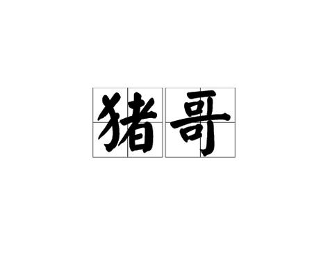 猪哥论坛资料图标