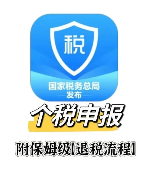 个人所得税怎么弄截图