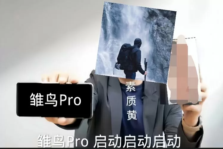 雏鸟pro最新版本破解版的特点图标