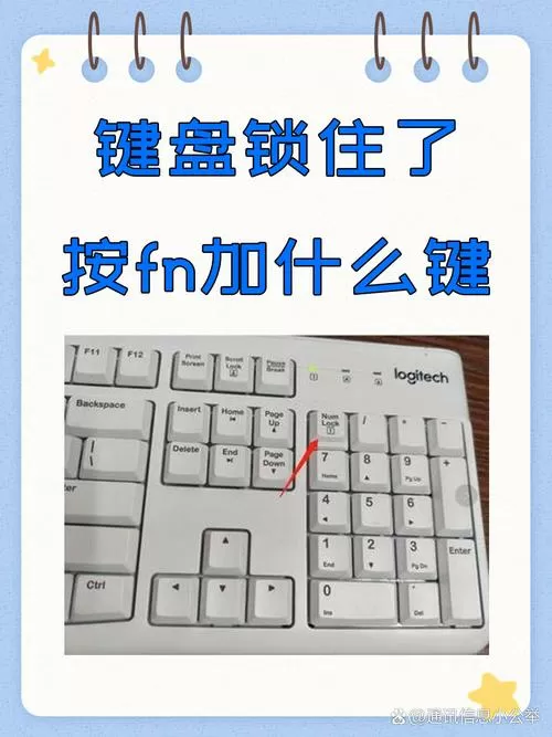 键盘锁住了没有fn键怎么解锁截图