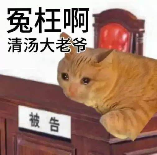 冤枉啊大人后面怎么接