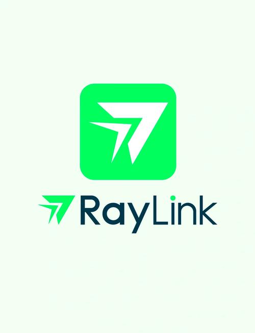 raylink安卓版截图