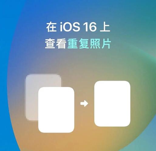 手机查找重复照片的软件哪个好用图标