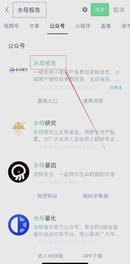 水母报告怎么弄