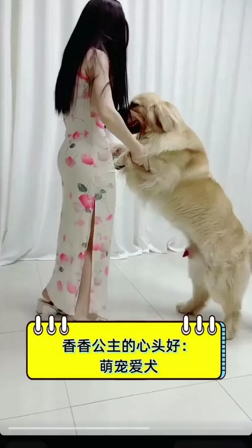 香香公主和爱犬5部开播时间图标