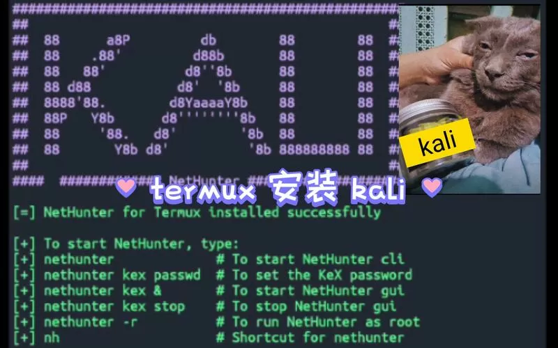 termux手机版安装教程
