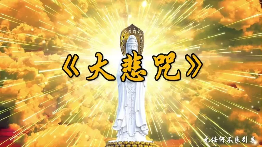 加长版大悲咒播放截图