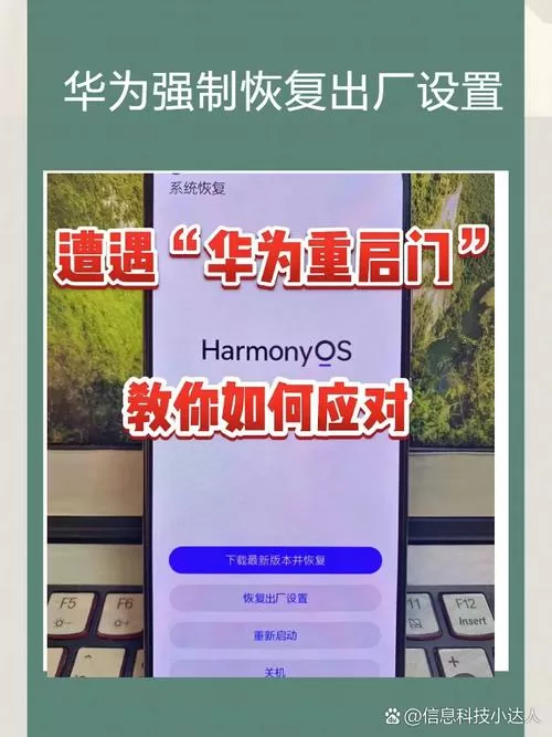 华为恢复不了出厂设置怎么办图标