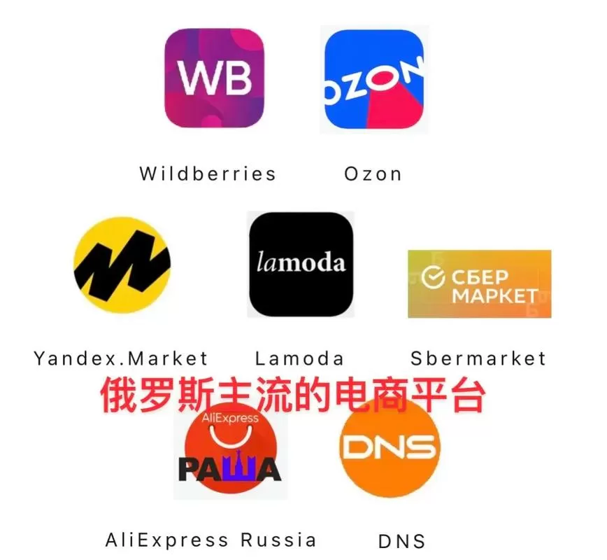 俄罗斯常用的交友网站图标