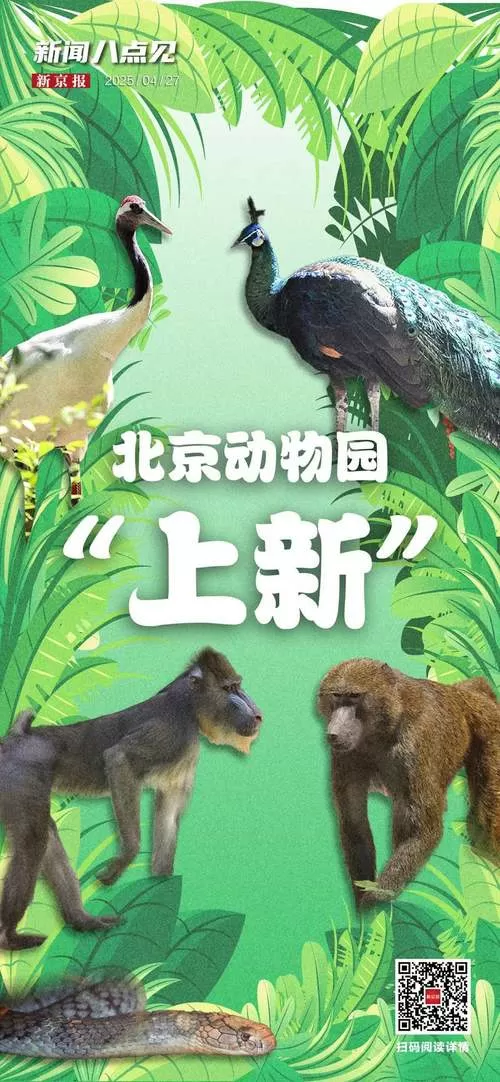 动物世界币圈截图