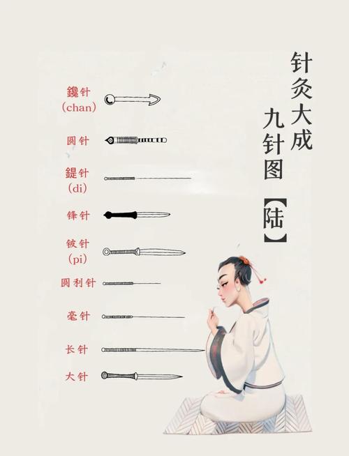 针灸大成注解截图