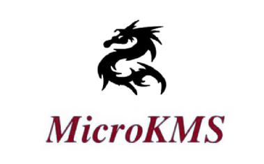 kms神龙版官网截图