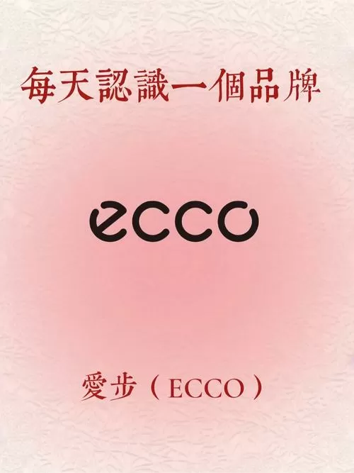 ecco与宾度哪个更好图标