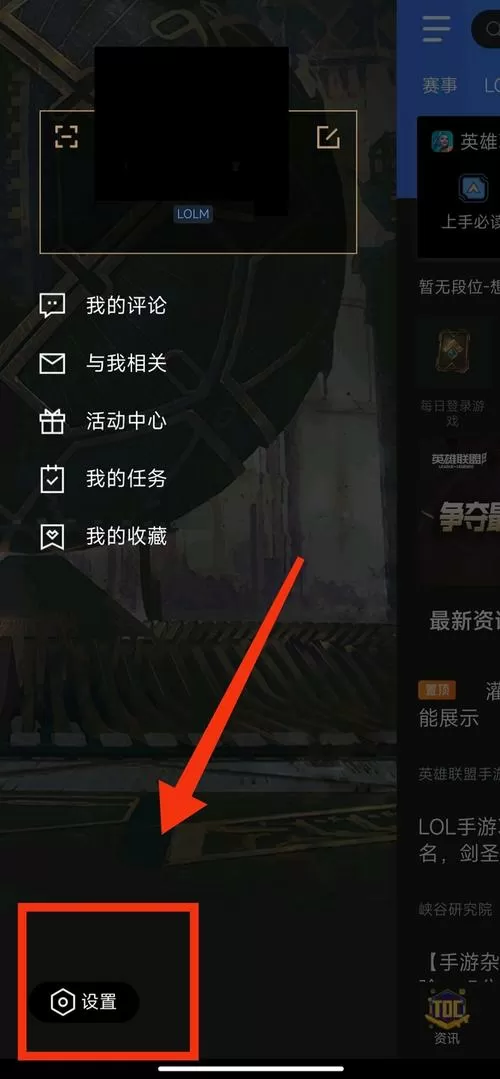 掌上英雄联盟怎么隐藏战绩图标