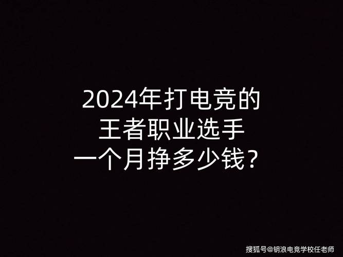 打电竞一个月挣多少钱图标