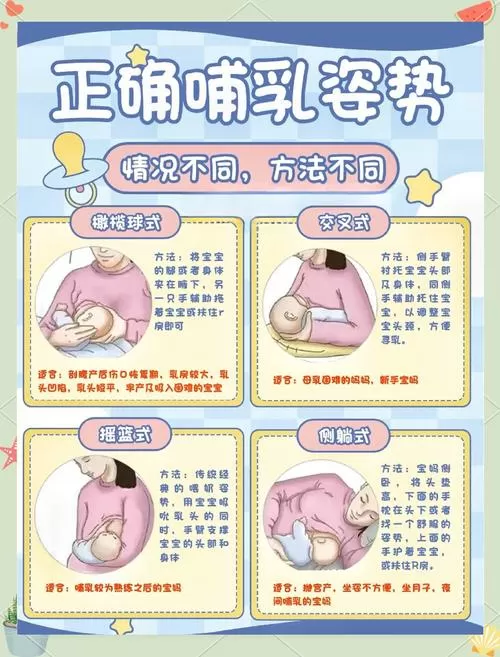 哺乳教程10图标