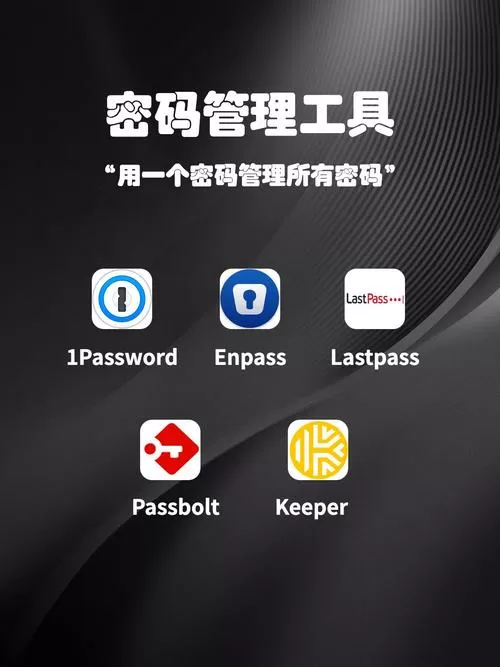 dom资源管理器查看密码图标