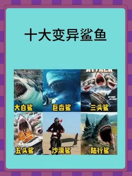 鲨鱼1.1.1破解版最新版本更新内容图标