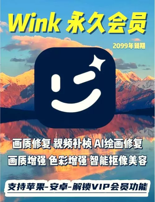 WinkVIP破解2099年图标