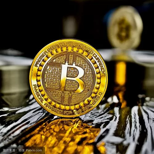 比特黄金BTG图标