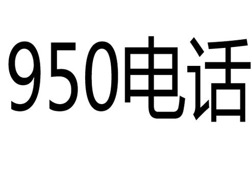 蓝v客服电话95066人工服务截图