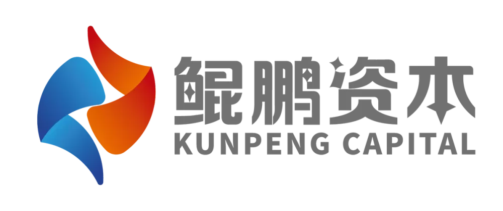鲲鹏投资管理有限公司图标