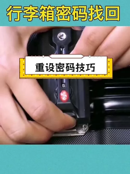 密码箱重置密码截图
