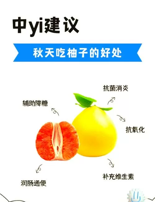 小柚子的功效与作用图标