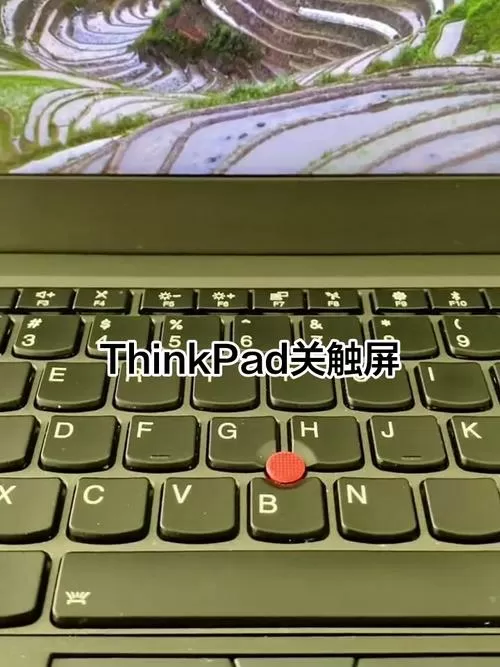 联想笔记本触摸板左右键无法使用截图