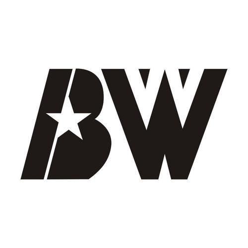 德国bwg公司截图
