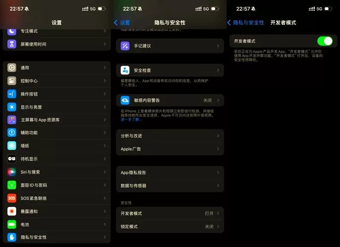 ipad怎么双开同一个游戏截图