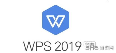 wps2019专业版激活图标