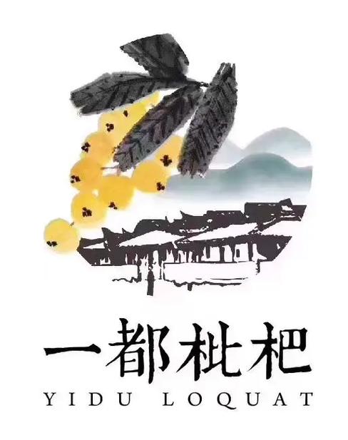 枇杷影视电视版图标