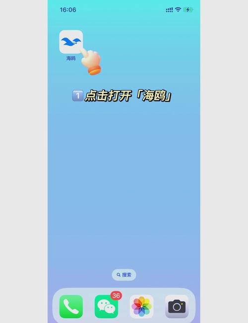 海鸥加速器2024免费版永久会员版图标