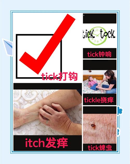 tk痒痒游戏安装入口在哪解锁全部书源截图