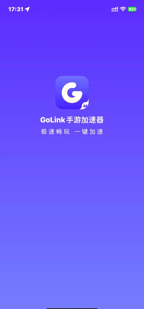 手机ns加速器无限次数版图标