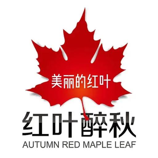 红叶小说