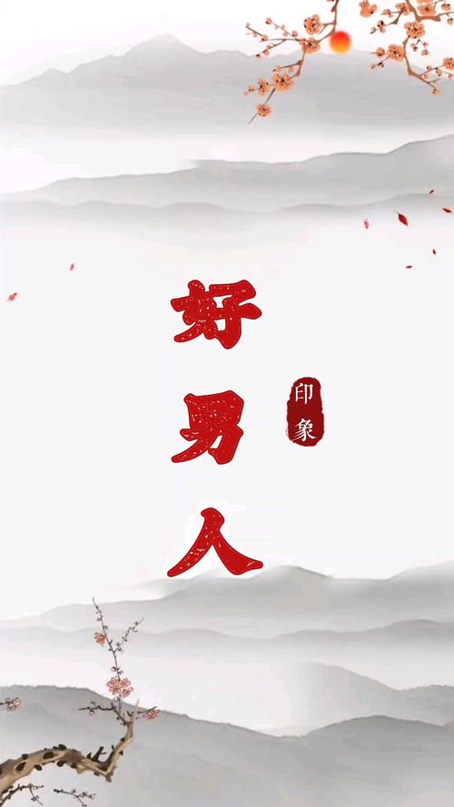 好男人视频vip截图